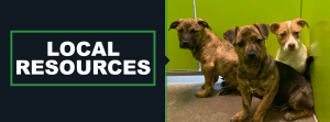 Resources - Tulsa SPCA