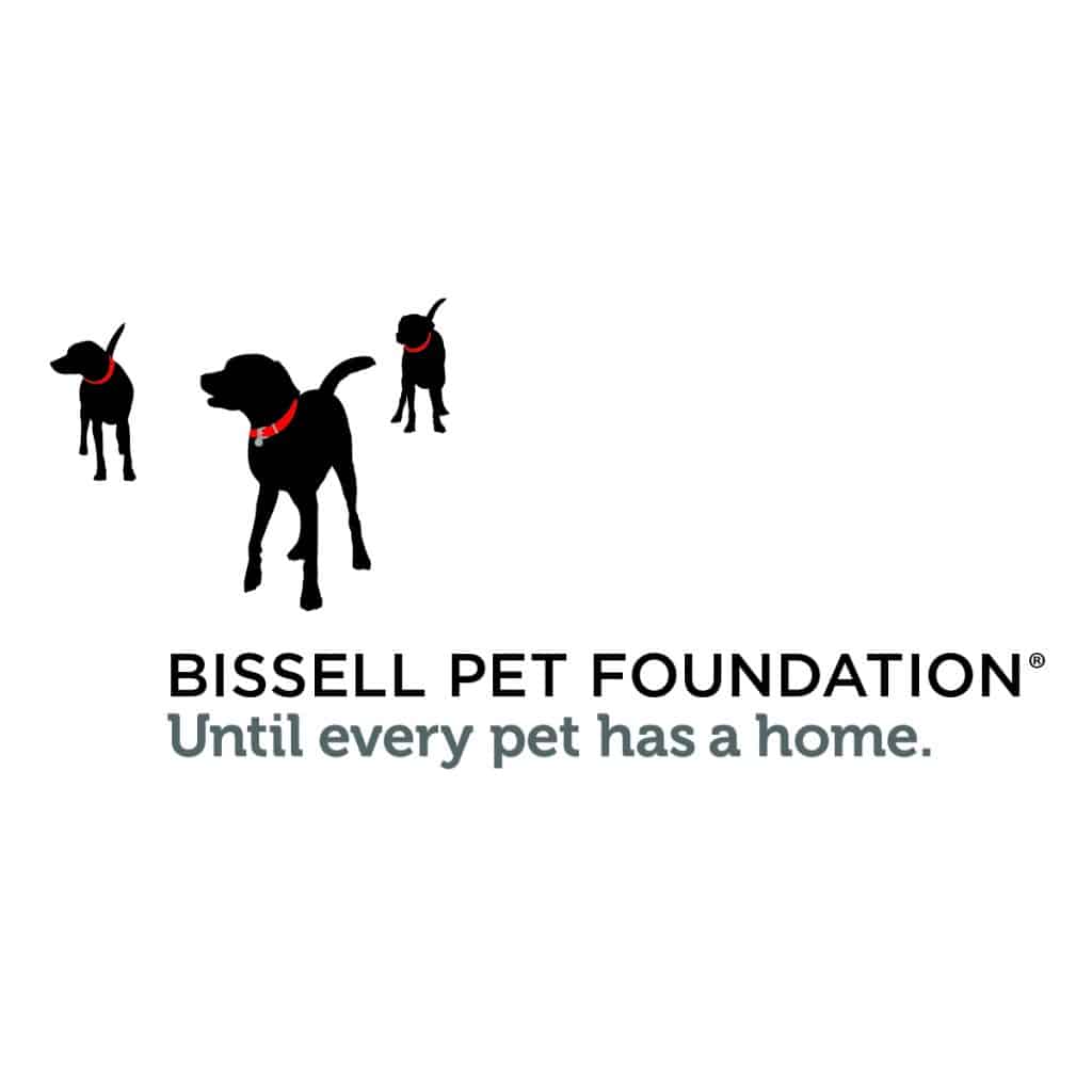 Adoptable Dogs - Tulsa SPCA