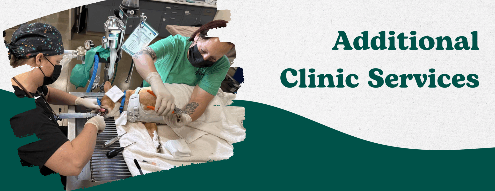 New Clinic Services - Tulsa SPCA