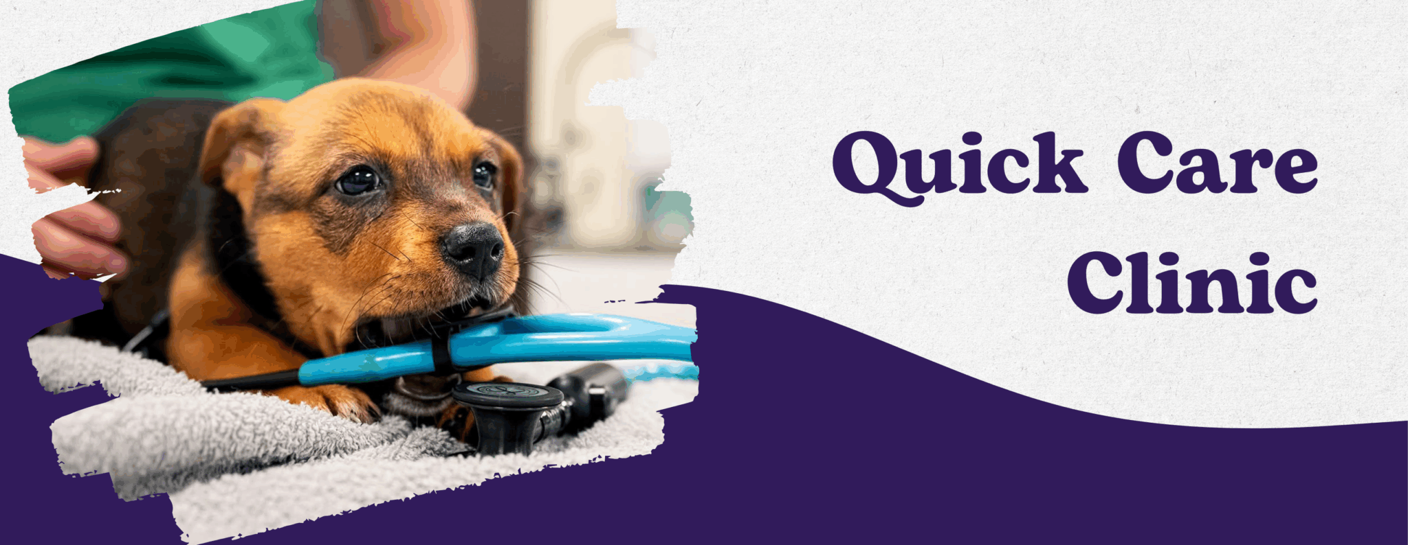 Quick Care Clinic - Tulsa SPCA