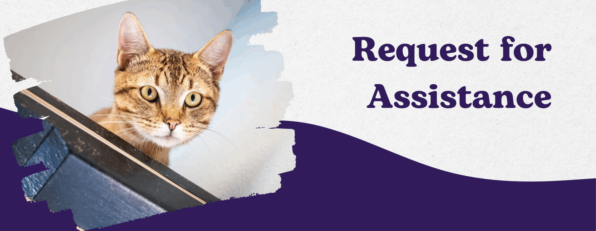 Request for Assistance - Tulsa SPCA