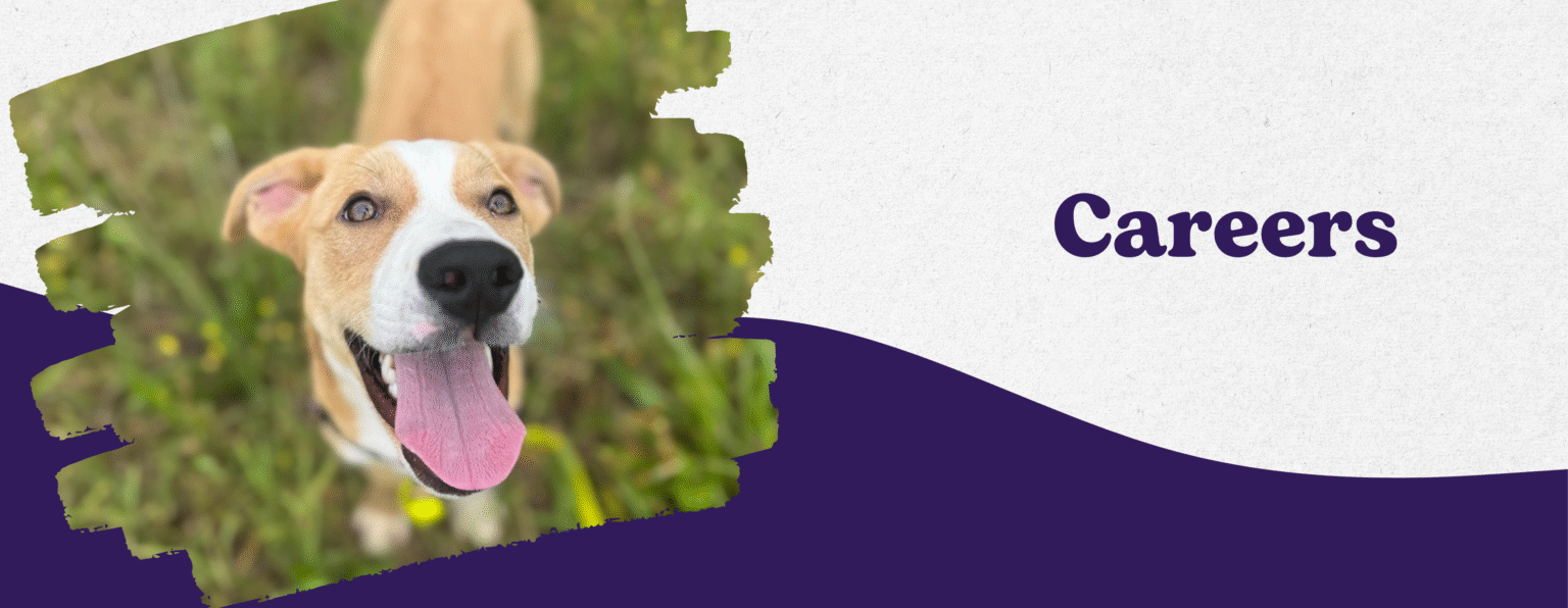 Careers - Tulsa SPCA
